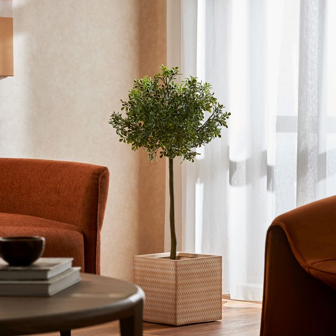 Mizilan Ball Plant - ABYAT